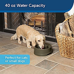 PetSafe Current Pet Water Fountain - Circulating Drinking Fountain for Cats and Dogs - Small, Forest, 40 oz Capacity Water Dispenser - Carbon Filter Included - Easy to Clean Design
