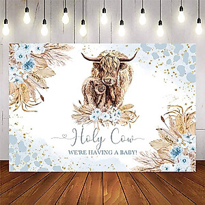 Avezano Highland Cow Baby Shower Backdrop for Boy Holy Cow Highland Cattle Baby Shower Party Decorations Blue We are Having A Baby Shower Party Background(7x5ft)
