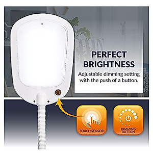 Newhouse Lighting NHFL-AP-WH Apollo LED Floor Lamp Energy-Efficient Natural Reading Artists Crafts Adjustable Gooseneck Task Light, White