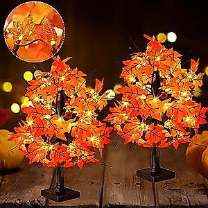 [ 2 Pack & Timer ] 24 Inch Lighted Maple Tree Fall Decorations with 48 LEDs Timer Battery Operated Artificial Autumn Tabletop Tree for Thanksgiving Harvest Indoor Home Decor