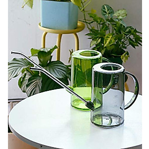 Nerseki 1 Litre/ 35 OZ Long Spout Watering Can for Succulents Bonsai Catus Plants Indoor Outdoor (Green)