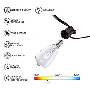 NIOSTA 10 Pack E12 Edison Bulb,ST38 Replacement Bulb for String Lights,120V/7W Incandescent Bulbs,Warm White