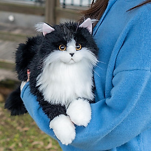 Chongker Stuffed Animals Plush - Realistic Animals Plush, Lifelike Toy, Ragdoll Cat