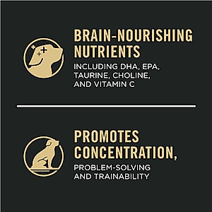 Purina Pro Plan Sport Development Large Breed 30/18 Chicken and Rice High Protein Dog Food Puppy Formula - 35 lb. Bag