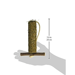 Rosewood Naturals Hay-n-Treat Swing for Small Animals