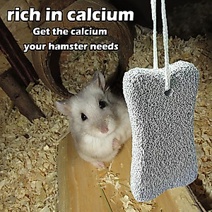 MUYG 5.12 Inch Rabbit Lava Blocks,6 Pcs Small Animals Chews Toys High Calcium Hamster Lava Teeth Grinding Stone for Rabbits Guinea Pig Rats Bunny Hamsters Chinchilla(White)