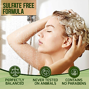 Tea Tree Oil Shampoo and Conditioner Set - Sulfate and Paraben Free Treatment for Oily Hair and to Help Reduce Your Itchy and Dry Scalp - Healthy Anti Dandruff Formula for Men and Women