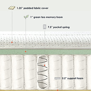 Mellow 10 Inch RENA Pocket Spring Hybrid Mattress with Green Tea Memory Foam, Queen Navy