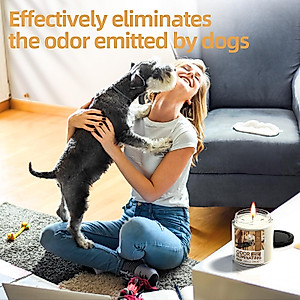 MicCai Vanilla Odor Eliminating Candles for Home Scented, Eliminates 99% of Pet, Smoke, Food and Other Smells Quickly, Highly Fragranced Candle,Premium Soy Candles Set for Women