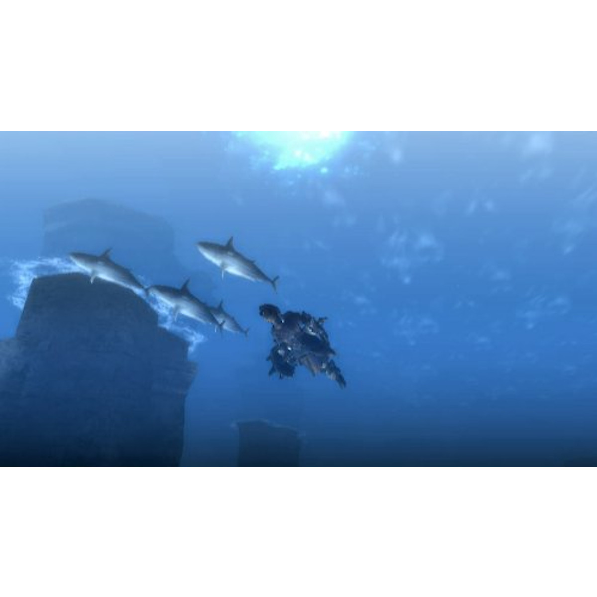 Monster Hunter Tri - Standard