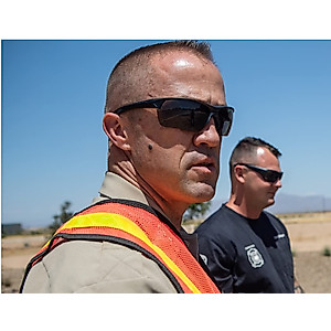 Wiley X 4004 Guard Advanced Glasses Smoke Grey Clear Lenses Matte Black Frame