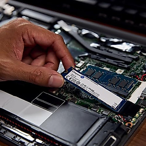 Kingston NV3 1 TB Solid State Drive - M.2 2280 Internal - PCI Express NVMe [PCI Express NVMe 4.0 x4]