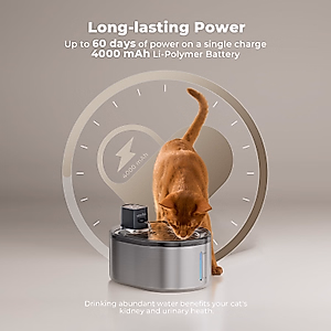 Smartoo Wireless Cat Water Fountain Stainless Steel, 152oz/4.5L Cat Fountain Battery Operated, Cordless Pet Water Fountain for Cats & Dogs with Motion Sensor, Ultra Quiet Pump, Multi-Filtration