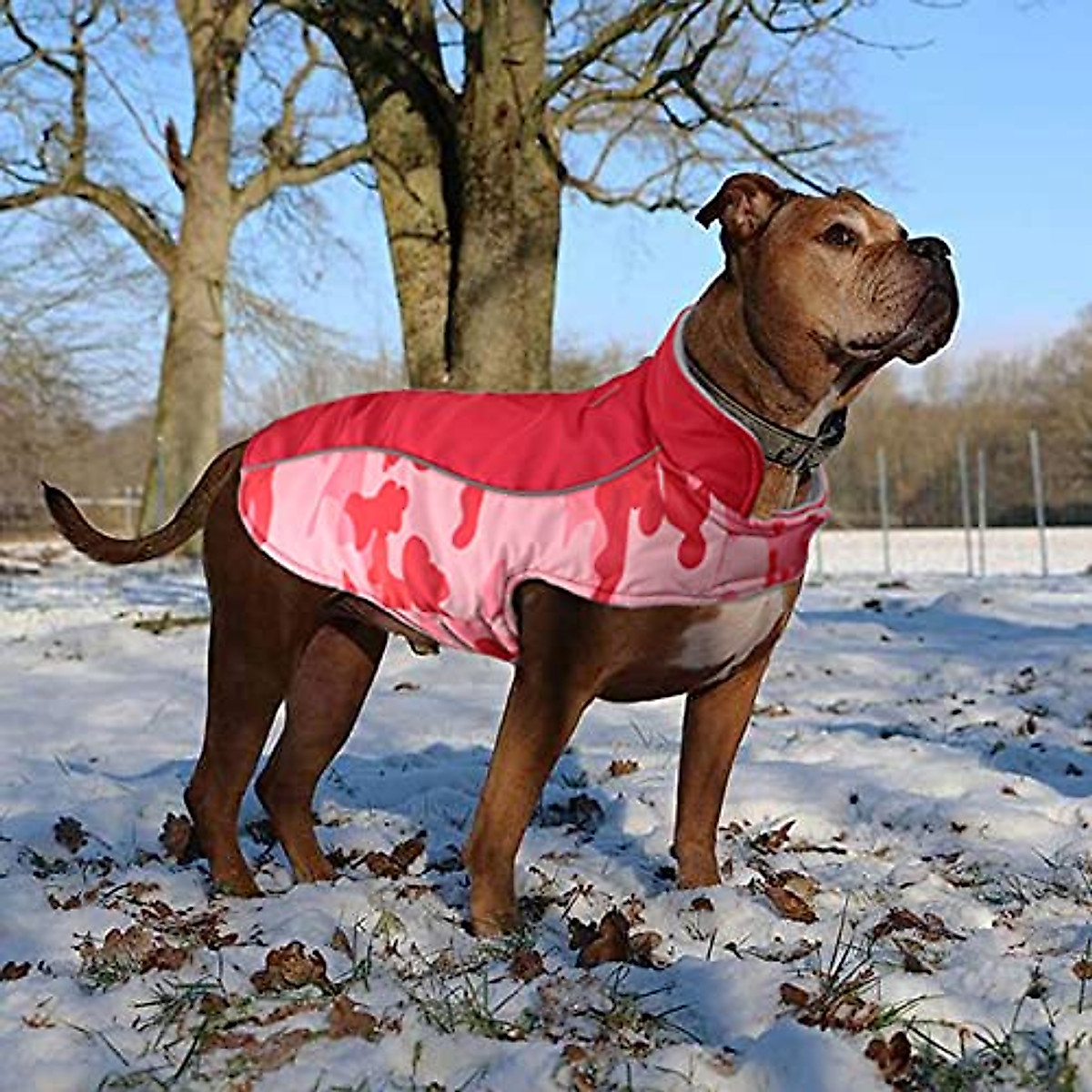 Warm Dog Jacket Reversible Fleece Winter Dog Vest for Cold Weather, Waterproof Windproof Dog Winter Coat Reflective with Magic Strip&Furry Collar for Small Medium Large Breeds Dogs Puppies Cat Pet