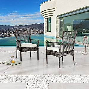 LOKATSE HOME 2 Pieces Outdoor Wicker Chair Metal Dining Armchairs with Cushion, Beige