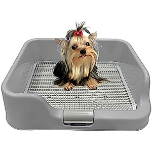 [DogCharge] Indoor Dog Potty Tray – with Protection Wall Every Side for No Leak, Spill, Accident - Keep Paws Dry and Floors Clean (Tray Only, Grey)