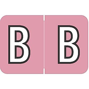 Doctor Stuff - File Folder Labels, Alphabet Letter B, Barkley/Sycom FABKM - BRAM Series Compatible Alpha Stickers, Pink, 1" x 1-1/2", 126 Labels/Package