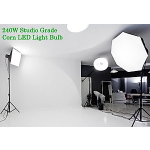 DragonLight 240W Commercial Grade Corn LED Light Bulb Fanless(1000 Watt MH/HPS Replacement) E39 Large Mogul Base LED Lamp 5000K Daylight 32,400Lumen