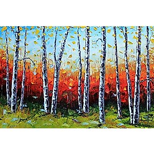 Birch Dream