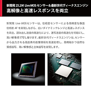 Panasonic LUMIX G9II Micro Four Thirds Camera, with 12-60mm F2.8-4.0 Lens DC-G9M2LK (International Model)