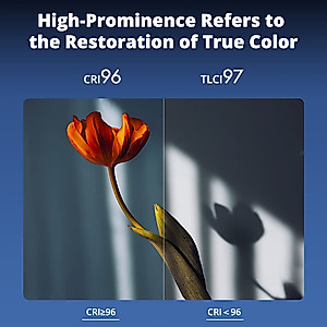 Godox ML60 60W Power in Your Hands LED Video Light,with AD-S60S Softbox,Built-in FX Effects,Silent Mode,Portable Brightness Adjustment Support Li-ion Outdoor LED Light