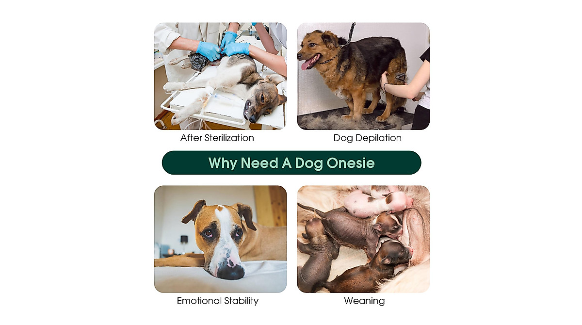Dog Surgery Recovery Suit - Comfortable Post-Op Pet Onesie