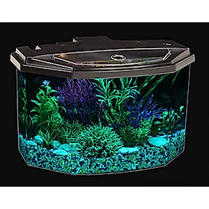 Koller Products Plastic 3-Gallon Aquarium Starter Kit with 7 Colors LED Lighting and Complete Filtration, Ideal for a Variety of Tropical Fish , Betta Fish, Tropical Fish, Cichlids, Ornamental Shrimp