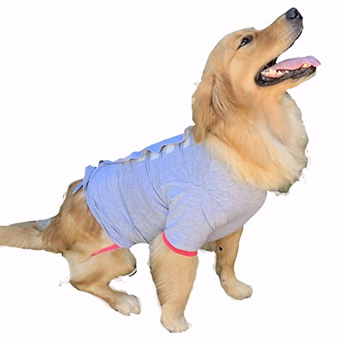 Short Sleeve Shirt for Dogs New! from POP FOR PETS (Large Red) - Better Than The Cone! POPforPETS Cotton Shirt for Larger Dogs. The Most Comfortable Alternative for Recovery!