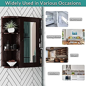 MEETWARM Bathroom Cabinet Wall Mounted Multipurpose Hanging Cupboard Kitchen Medicine Storage Organizer with Mirror Single Door and 2 Adjustable Shelves (Coffee)