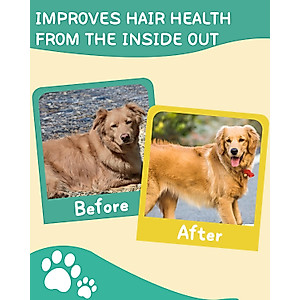 Skin and Coat Chews for Dogs - Omega 3 Supplement for Dogs with EPA & DHA Fatty Acids- Fish Oil Chews for Dogs with Salmon Oil & Vitamins - Dog Itchy, Dry & Shedding Skin Relief- Chicken, 120 Chews