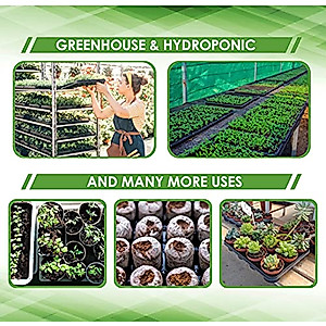 Germinator 6 Pack Premium Quality Seedling Trays, Microgreens Growing Trays, No Drain Holes, Heavy Duty, Durable Plastic, 1.5mm Thick, Plants Drip Tray, Best for Sprouting Vegetables and Wheatgrass