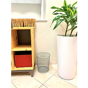 Rubbermaid Commercial Concept Collection Mesh Metal Wastebasket/Trash Can/Bin, 5 GAL, Silver (FGWMB20SLV)