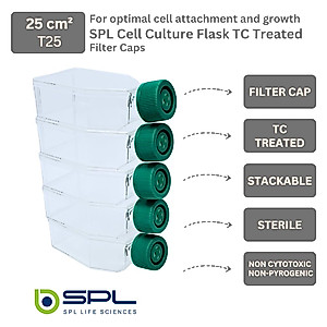 SPL Cell Culture Flask 25 cm² (T25) Filter Cap, Treated, Sterile, 200/Case