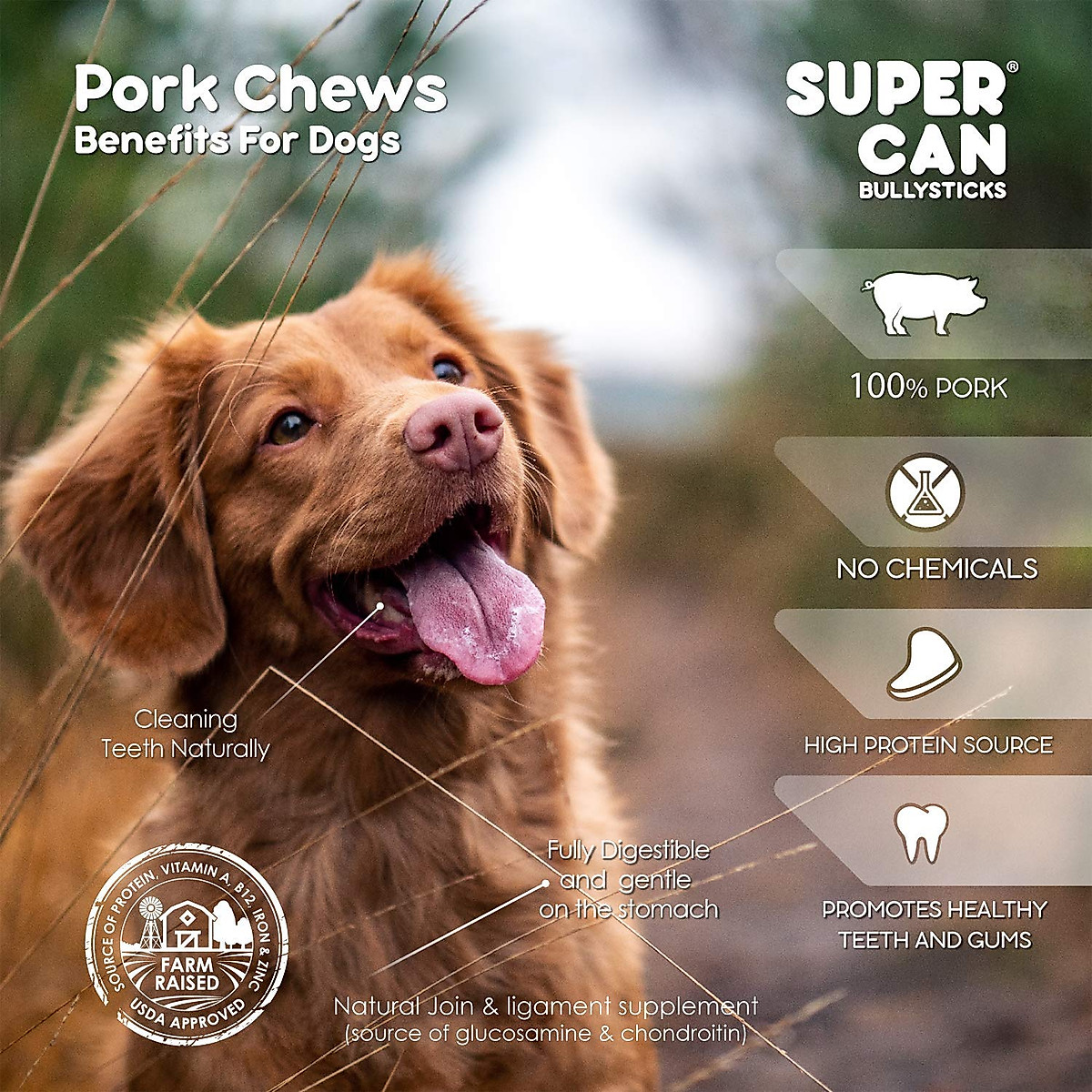 SUPER CAN BULLYSTICKS Pork Lung Bites Dog Treats (12oz) | 100% Natural Chews | High in Vitamin B6, B12, C, Iron, Copper & Zinc | Training Treats for Small Dogs