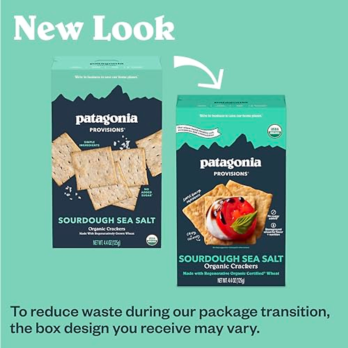 Patagonia Provisions - Sourdough Sea Salt - Certified Organic Crackers - Non-GMO, Plant-Based, No Added Sugar