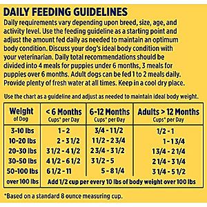 Nature′s Recipe Grain Free Salmon, Sweet Potato & Pumpkin Recipe Dry Dog Food, 4 lb. Bag