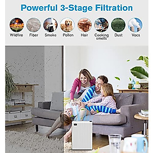 Air Purifiers for Home Large Room, MOOKA H13 True HEPA Filter Air Cleaner for Dust Allergies Pets Dander Pollen Smoke Odor, 100% Ozone Free Quiet Air Cleaner for Home, Bedroom and Office