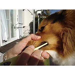 MIND UP Toothbrush Soft Bristle for Large Dogs