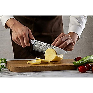 FANTECK Chef Knife 8 Inch Professional Damascus Chef Knife High Carbon 67 Layers VG-10 Damascus Knife Stainless Steel Ultra Sharp Blade Kitchen Meat Cutting Knife [Gift Box]-Ergonomic Rose Wood Handle