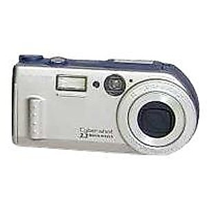Sony Cyber-shot DSC-P1 3.3 MP 3x Optical Zoom Digital camera (Metallic Silver)
