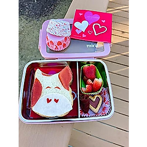 Mira 18/8 Stainless Steel Bento Lunch Box with Divider for Sandwich and Sides - Food Container for Adults - Fits in Lunch Box & Backpack, Sherbet