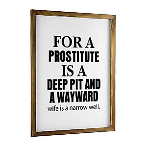 Home Decor Wood Sign for A Prostitute Is A Deep Pit And A Wayward Wife Is A Narrow Well Framed Wood Sign,Rustic Wall Art Sign 16"x20"