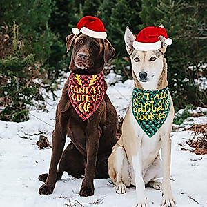 PAWNISAW Dog Christmas Bandanas - Cute Snowflake Bronzing Plaid Dog Holiday Bandanas Triangle Bibs Dog Kerchief Set Scarfs for Girl Boy Small Medium Large Dogs