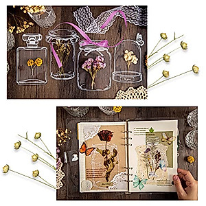 60 Pcs Transparent Dried Flower Bookmarks with Grosgrain Ribbon, DIY Clear Glassware Bottle Shape Stickers Beautiful Herbarium Floral Page Bookmark Craft
