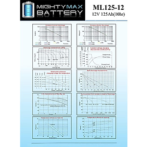 Mighty Max Battery 12V 125AH SLA Battery for Zoeller 508 Aquanot Backup Sump