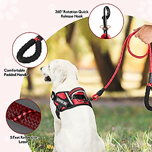 Service Dog Vest Harness and Leash Set, Animire in Training Dog Harness with 10 Dog Patches, Reflective Dog Leash with Soft Padded Handle for Small, Medium, Large, and Extra-Large Dogs (RED,XS)