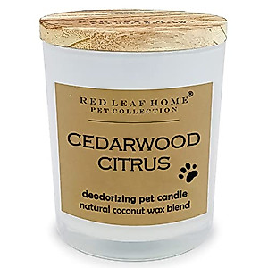 Red Leaf Home | Cedarwood Citrus Pet Deodorizing Jar Candle | Large | Gift, Perfect for Dog & Cat Owners | Contains DeoBoost | 15.5oz