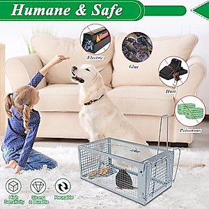 2 Packs Humane Rat Trap Outdoor Mouse Traps Indoor Use, Rodent Chipmunk Traps for Small Live Animal Catch and Release