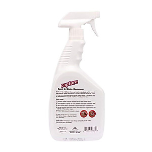Capture Carpet Total Care Kit 400 & Capture Spot and Stain Remover (32 oz), Couch, Sofa Cleaner and Stain Remover - Bundle