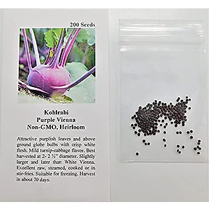 David's Garden Seeds Kohlrabi Purple Vienna 3642 (Purple) 50 Non-GMO, Heirloom Seeds